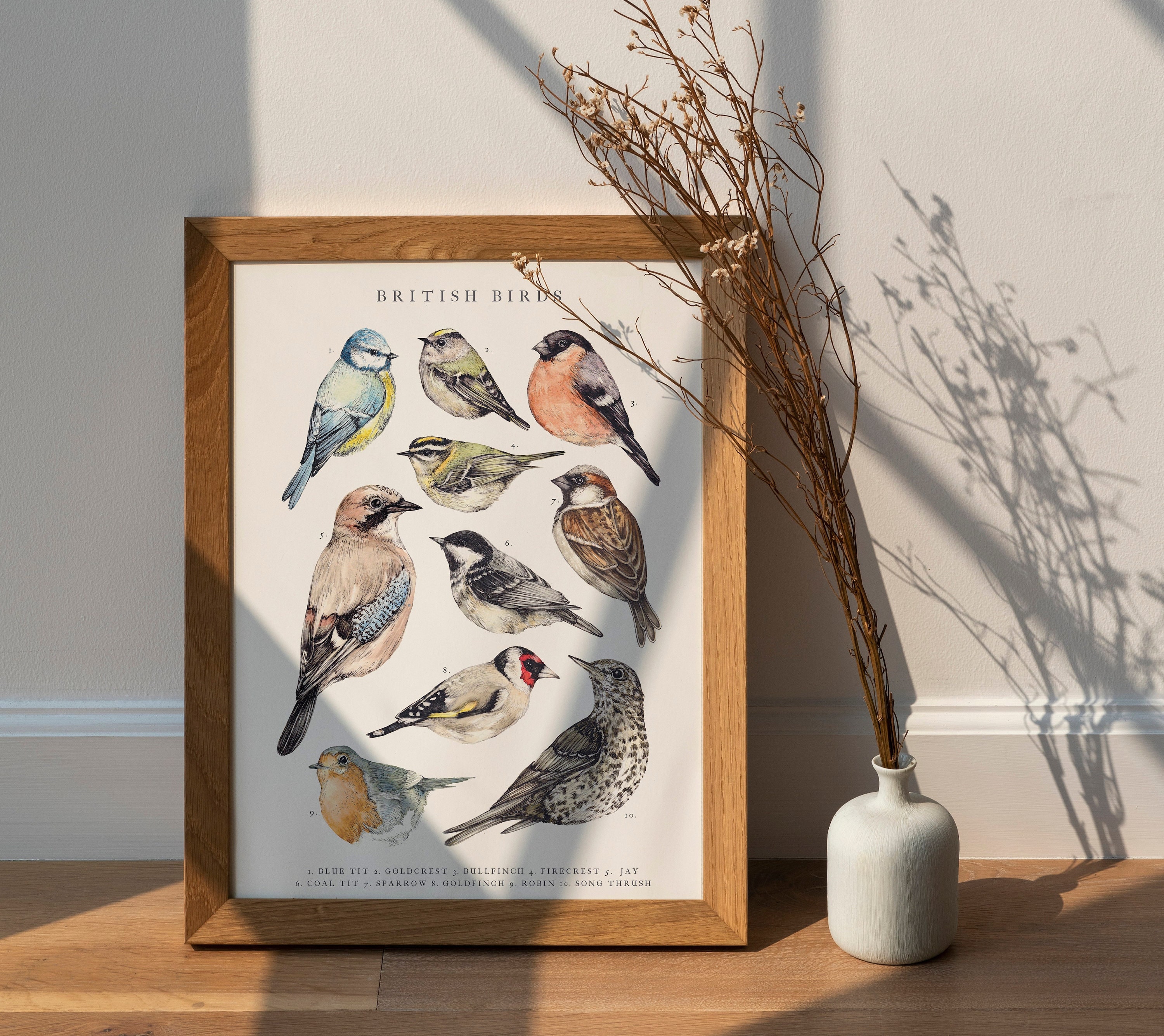 Watercolour British Birds Print A4 A3 Bird Painting Poster - Etsy UK