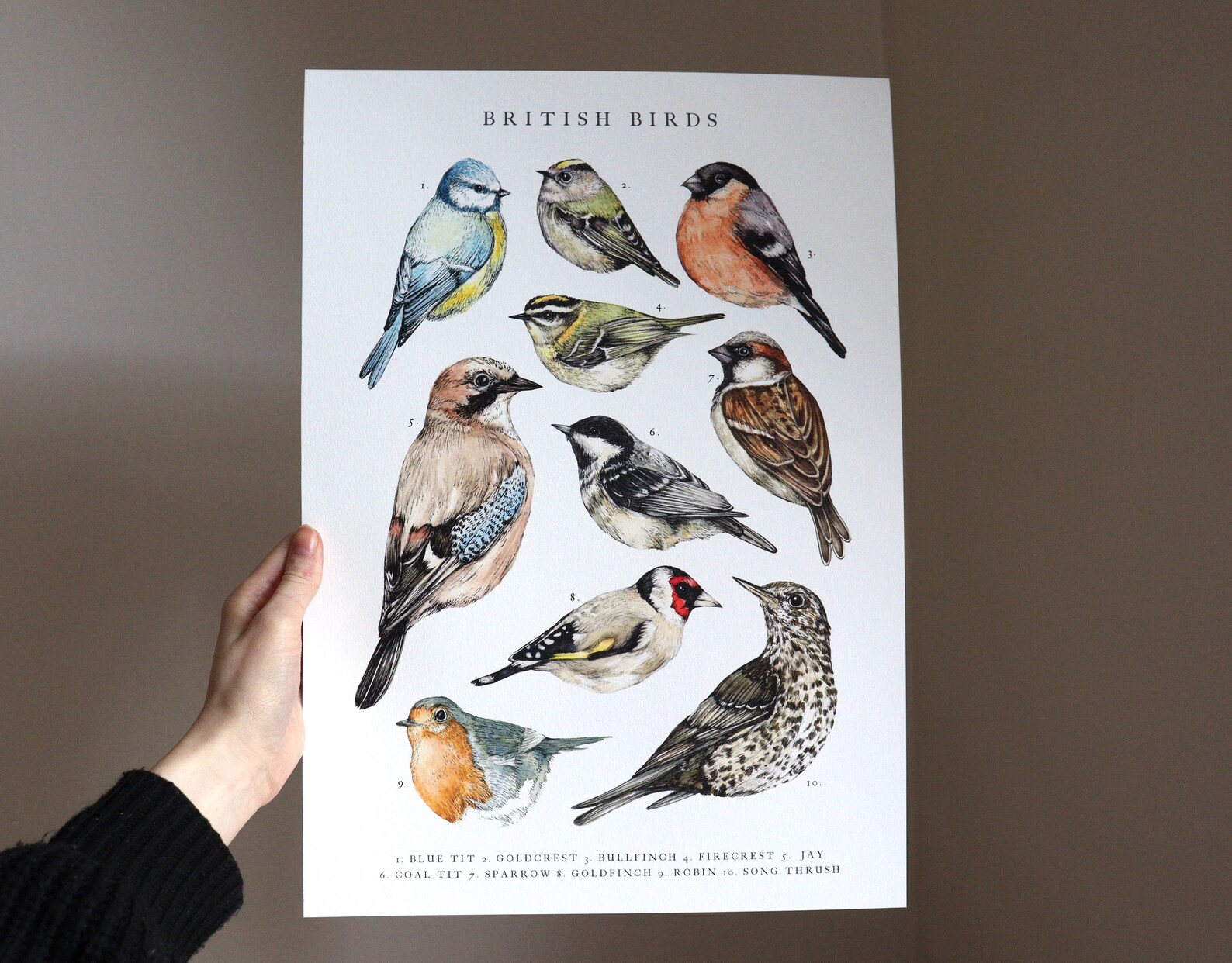Watercolour British Birds Print, A4 A3 Bird Painting Poster ...