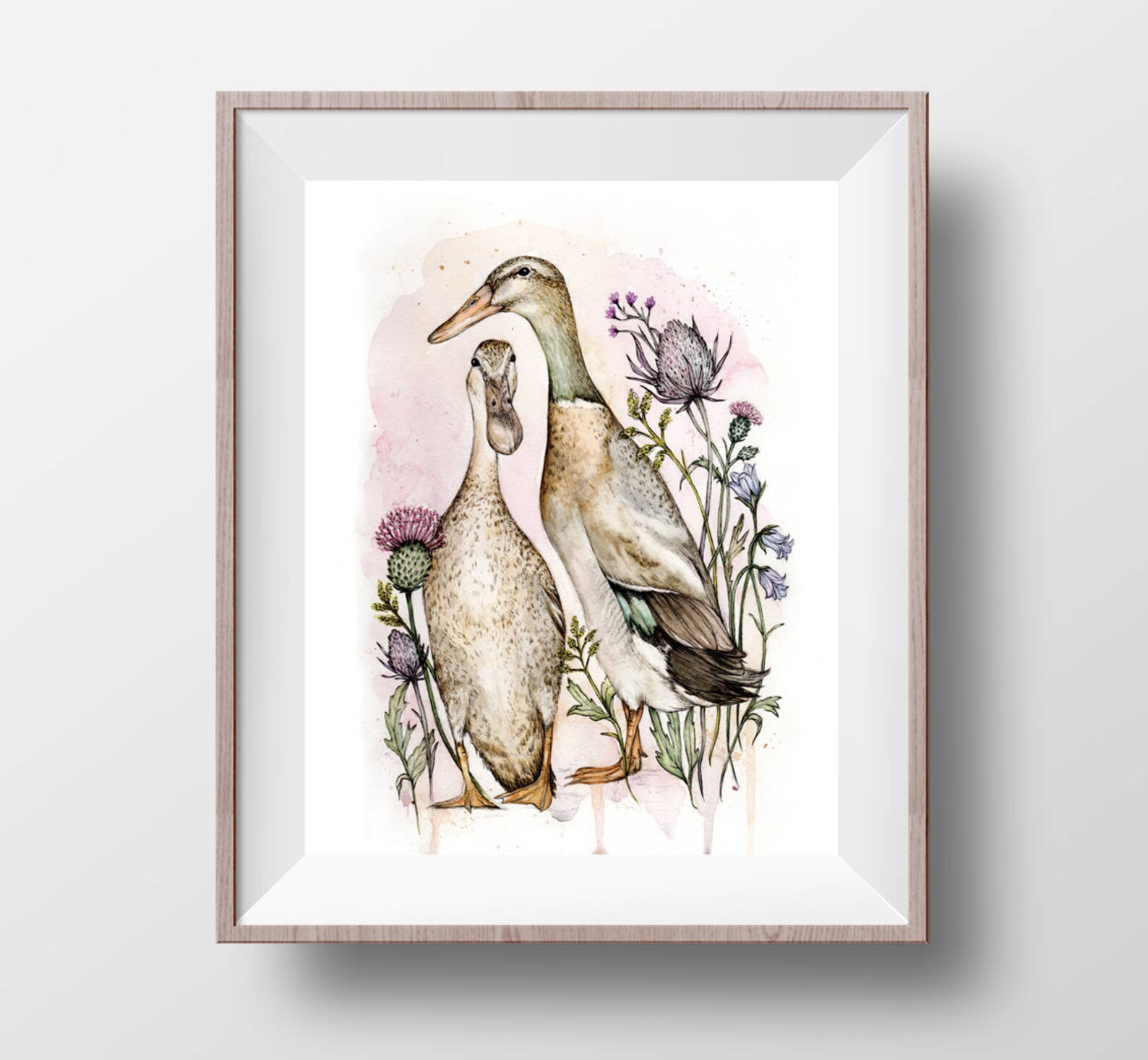 Indian Runner Ducks Wild Flowers Watercolour Thistles Bird | Etsy