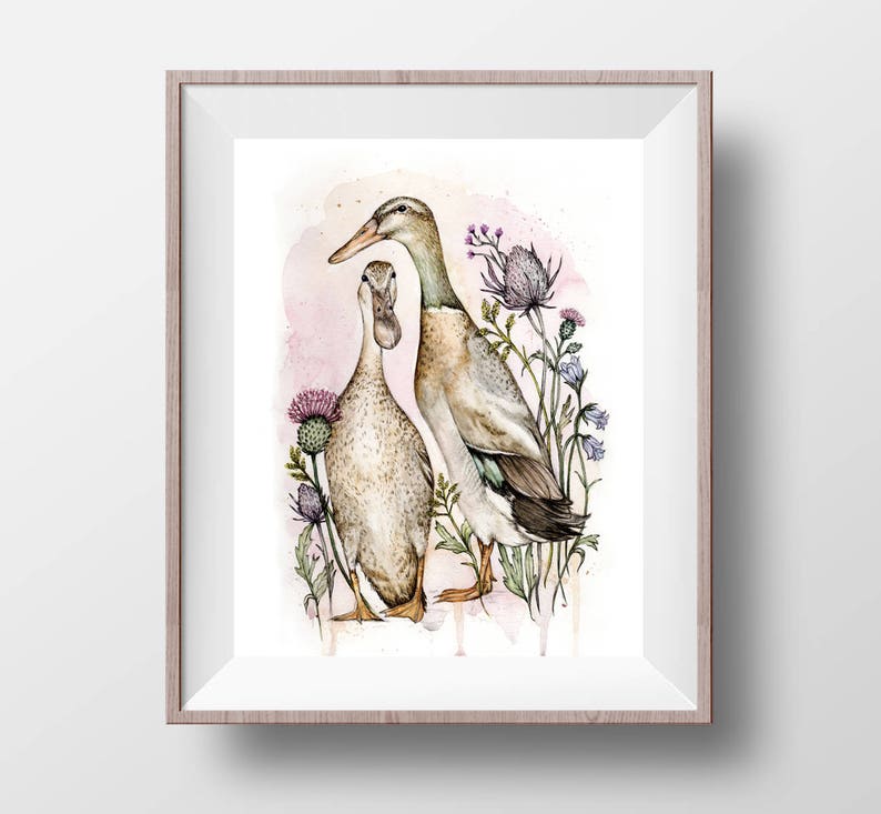 Indian Runner Ducks Wild Flowers Watercolour Thistles Bird | Etsy