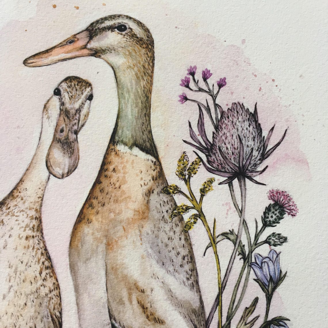 Indian Runner Ducks Wild Flowers Watercolour Thistles Bird | Etsy