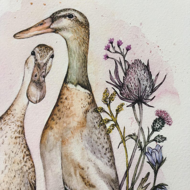Indian Runner Ducks Wild Flowers Watercolour Thistles Bird - Etsy