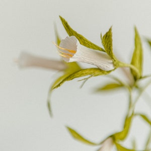 Bellflower Paper Bouquet - Etsy