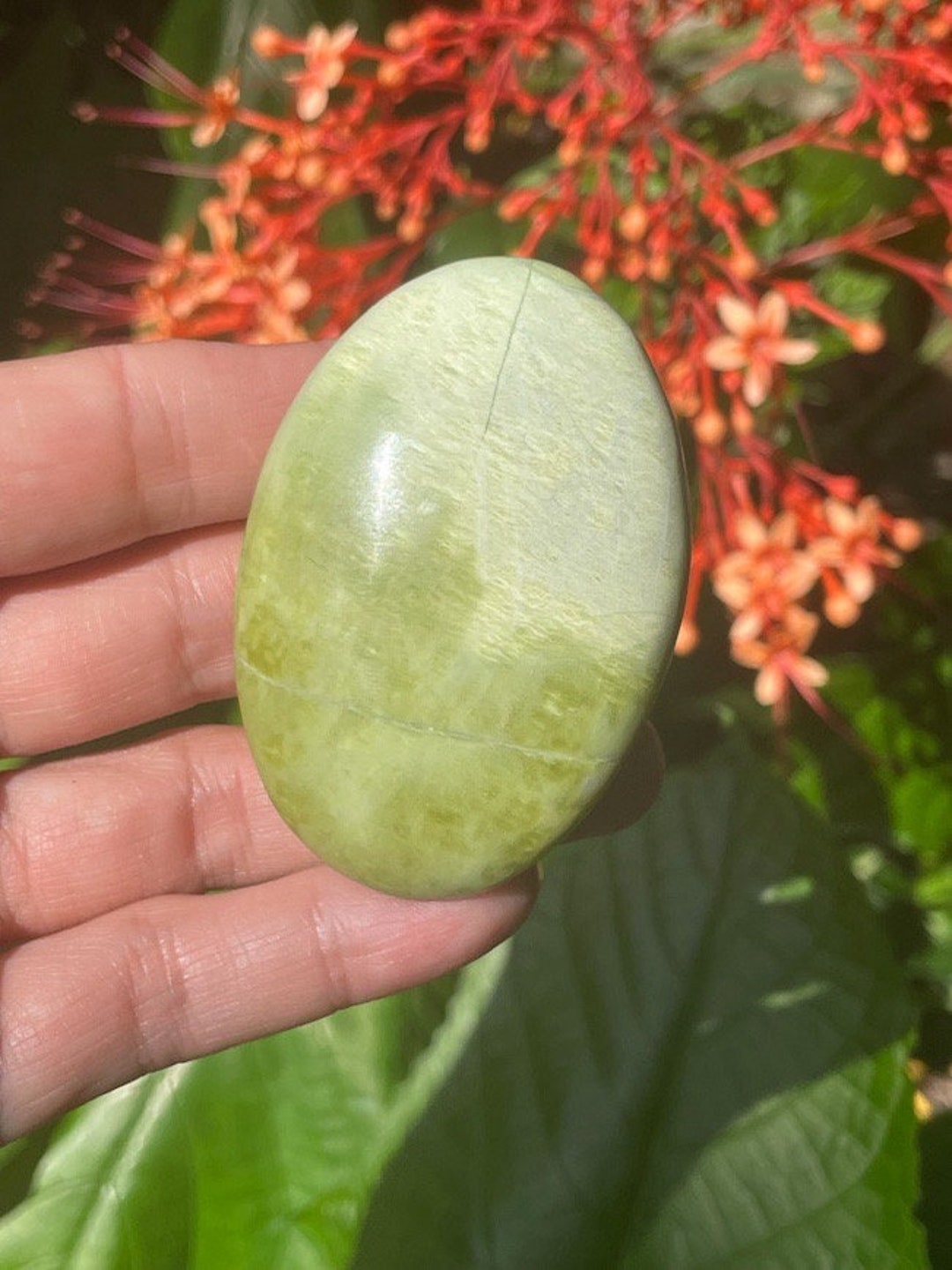 Serpentine, Serpentine Palm Stone, Green Healing Stones, Rocks and ...