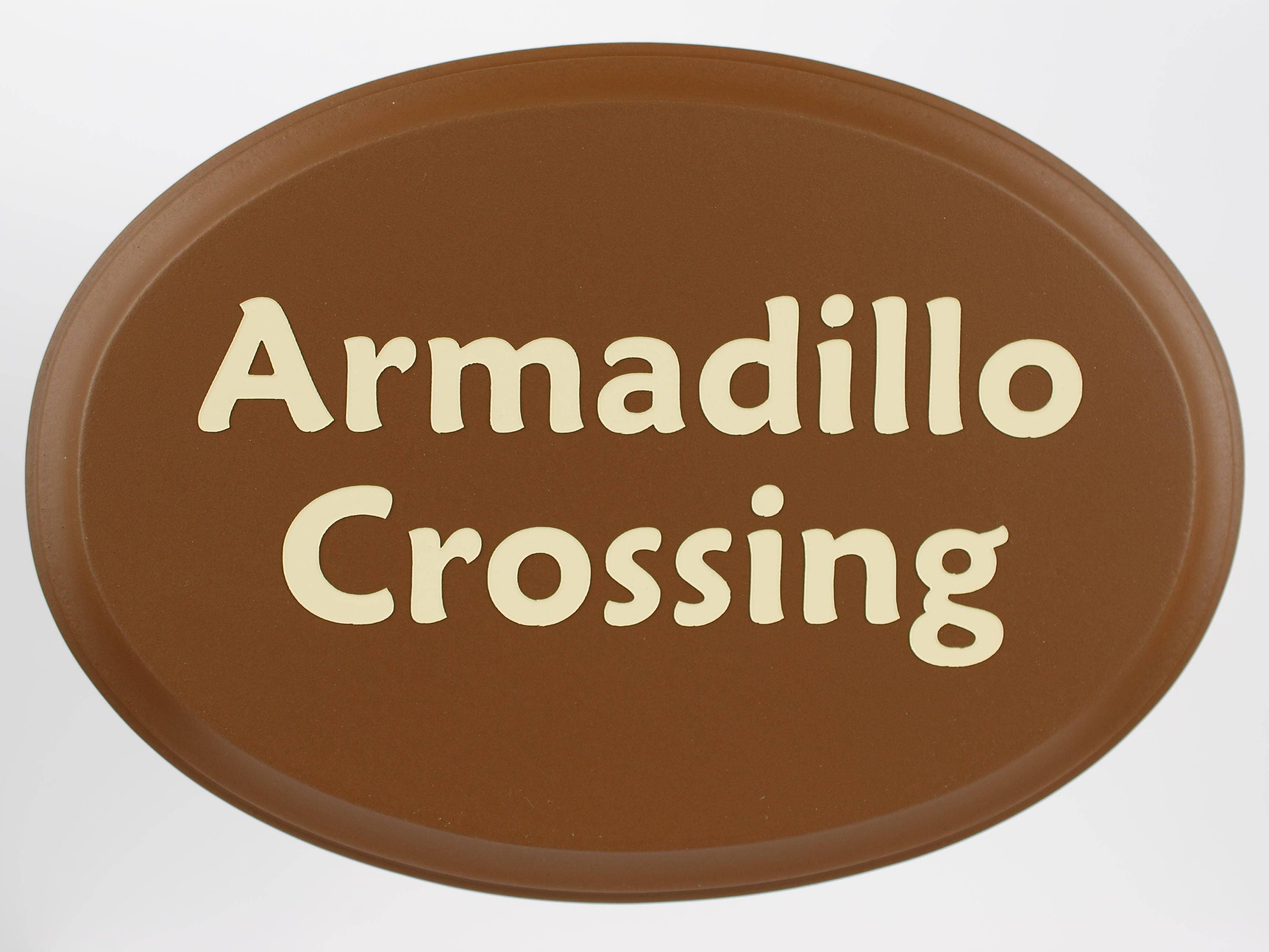 Armadillo Crossing Wall Decor | Etsy