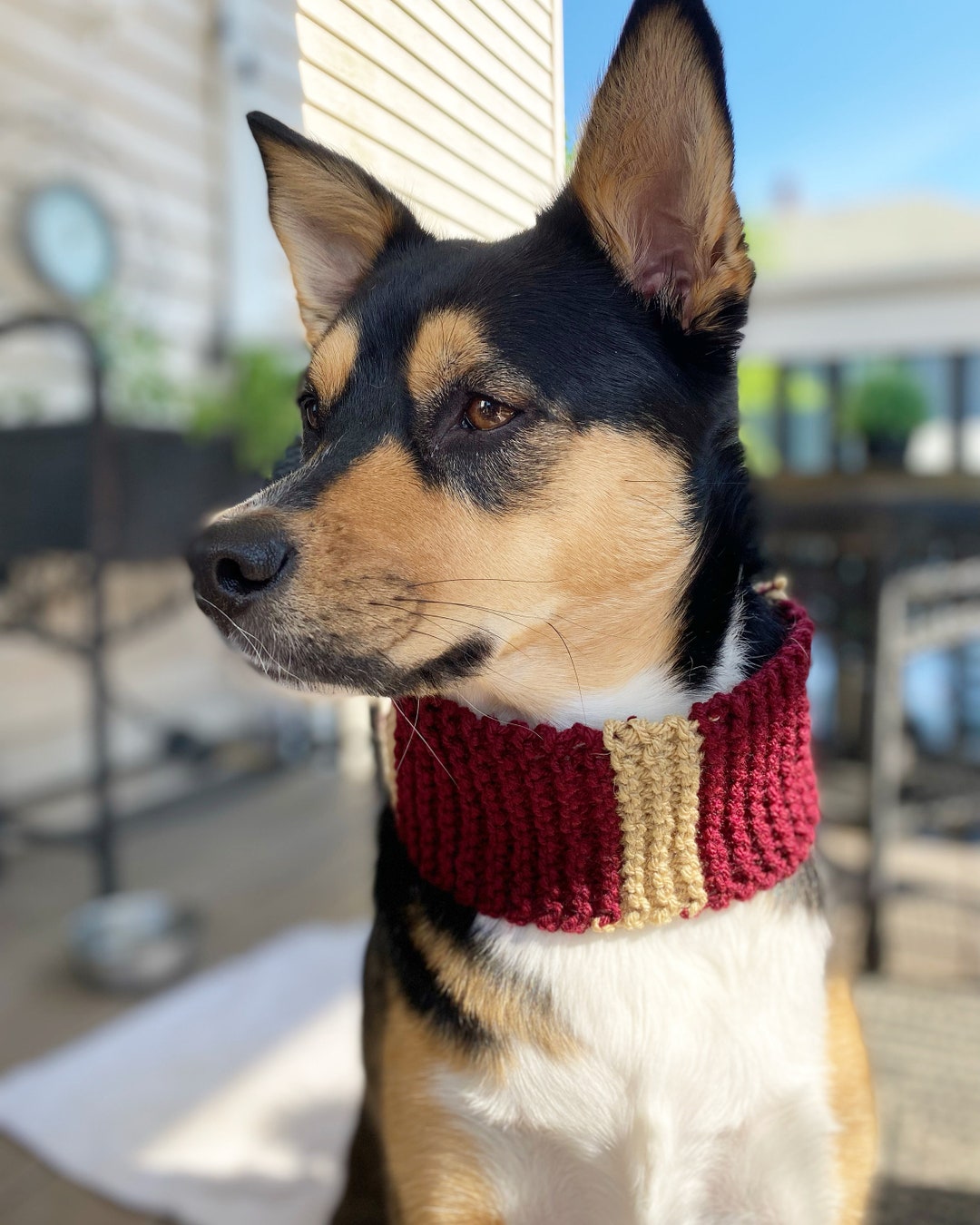 Hand Knit Lion House Inspired Dog Scarf for Fall & Winter, Medium Sized ...