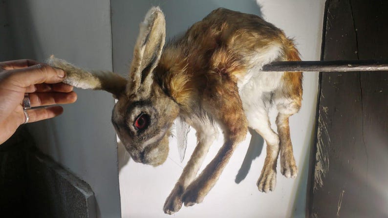 Replica Hare/bunny/rabbit Prop Fake Prosthetic Silicone Foam - Etsy