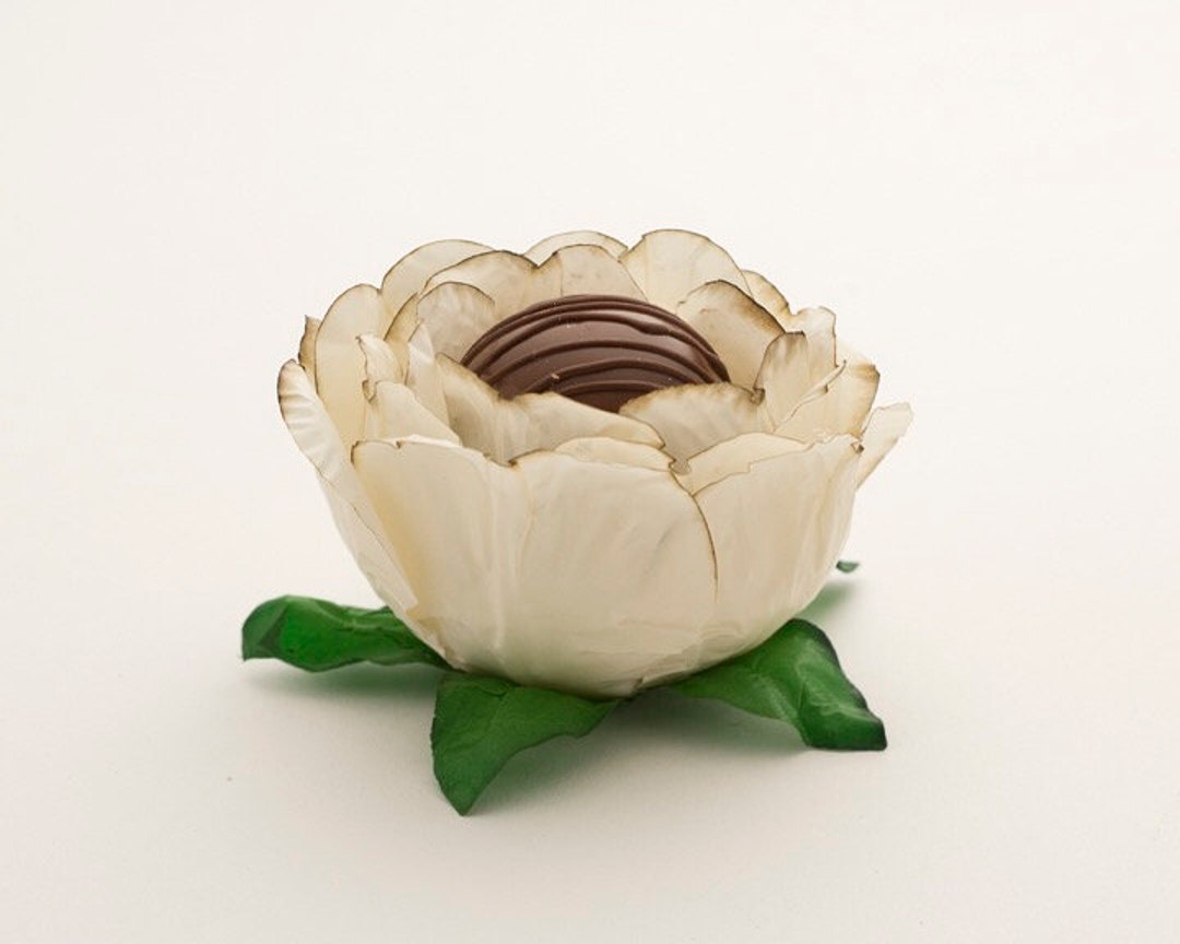Rustic Ivory Truffle Flower Wrappers, Forminhas De Brigadeiro , Fall ...
