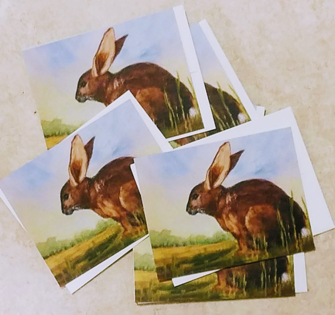 Rabbit Note Card Set, Blank Note Cards, Brown Rabbit Cards, Wild Rabbit ...