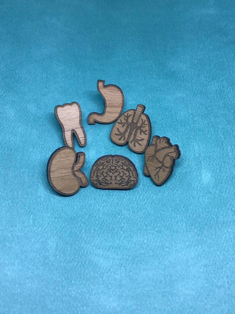 Stomach Lapel Pin | Etsy