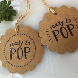 Set of 10 Handmade Ready to Pop Gift Tags-popcorn Tag-cake Pop Tag-mini ...