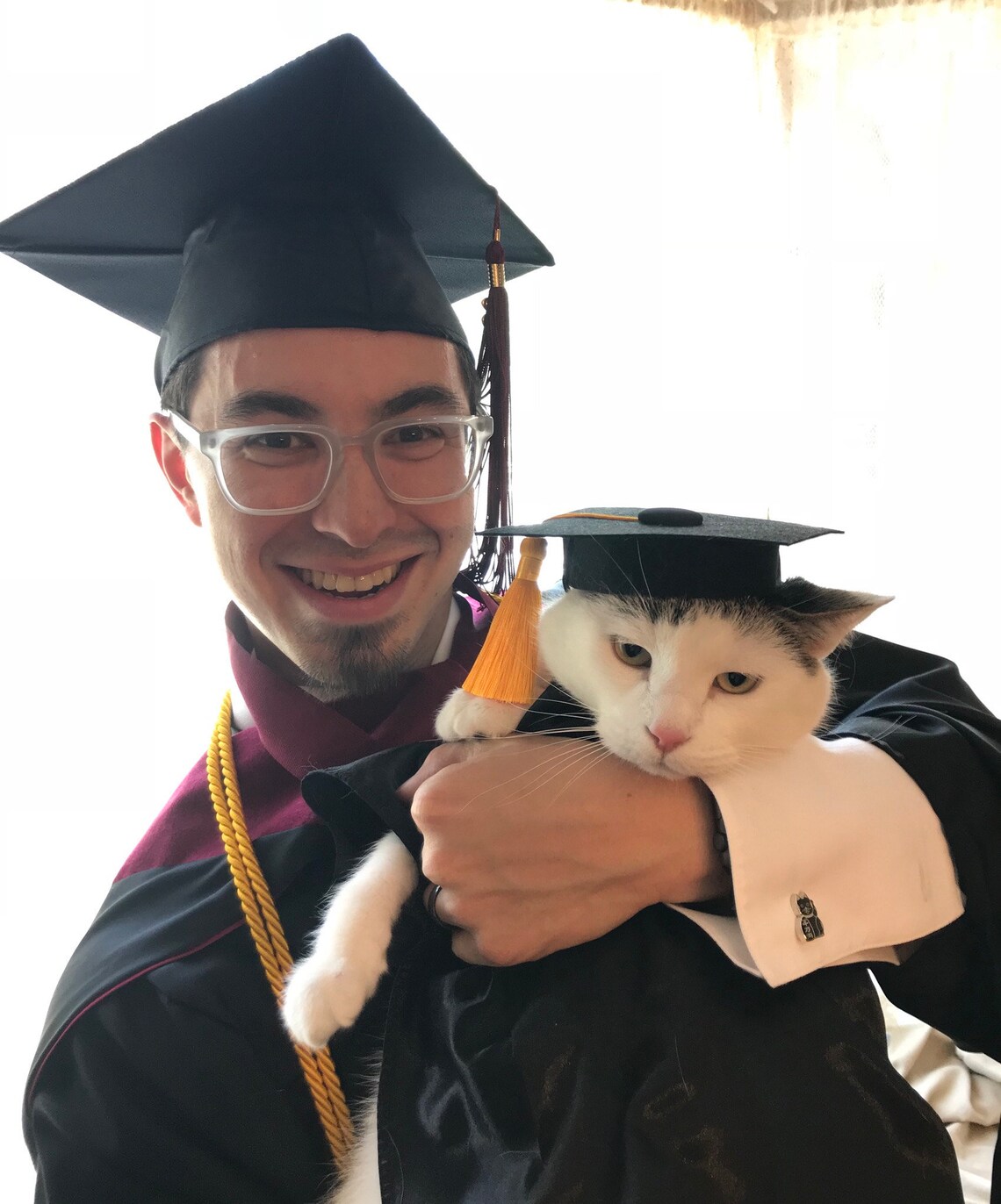 Pet Graduation Cap | Etsy