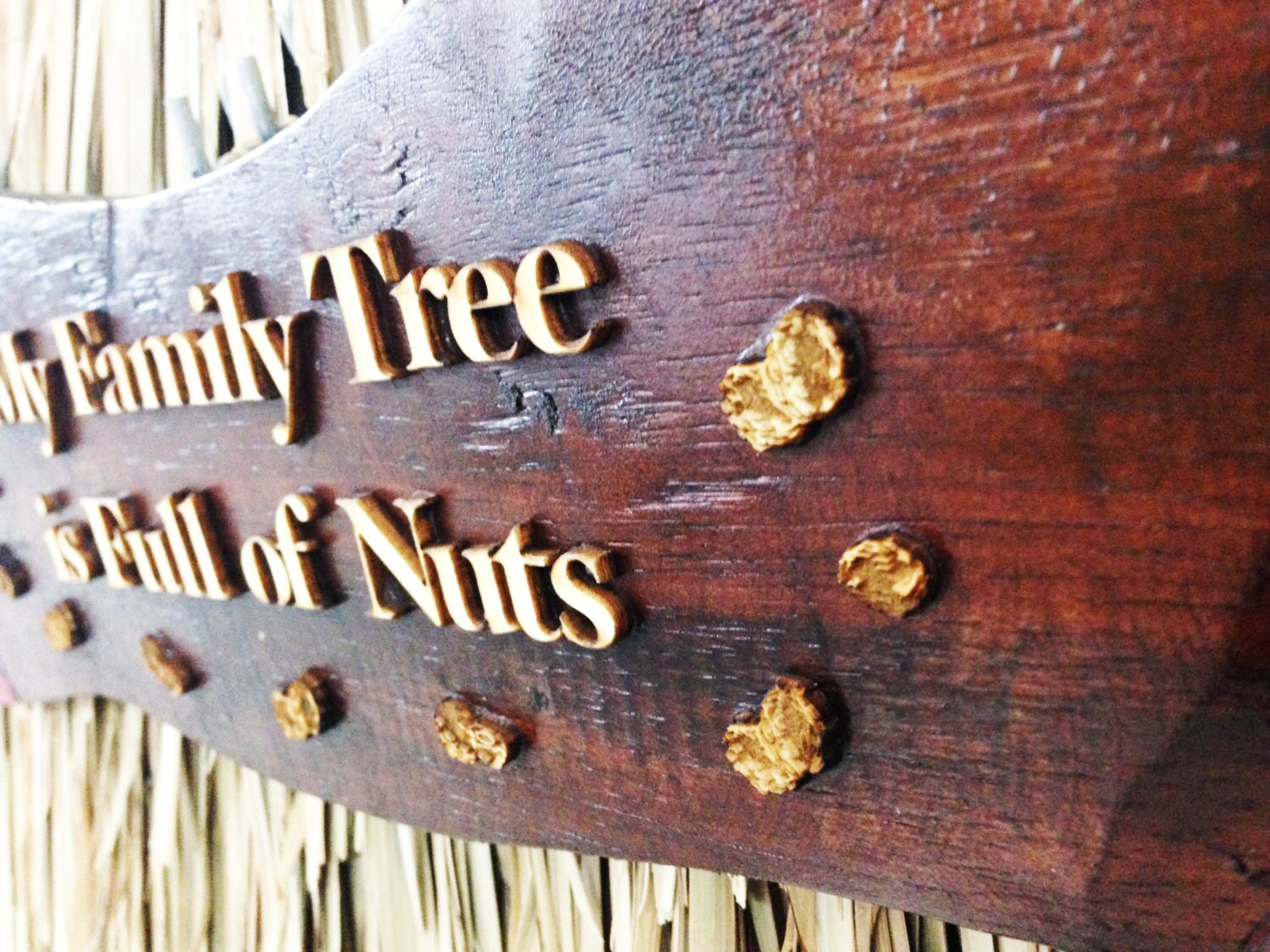 My Family Tree is Full of Nuts on Hand Carved Wood Signs - Etsy
