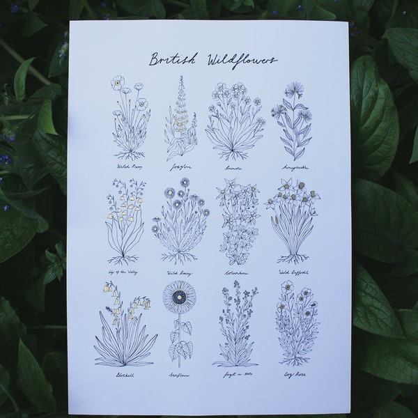 Wildflower Chart Wall Art - Etsy