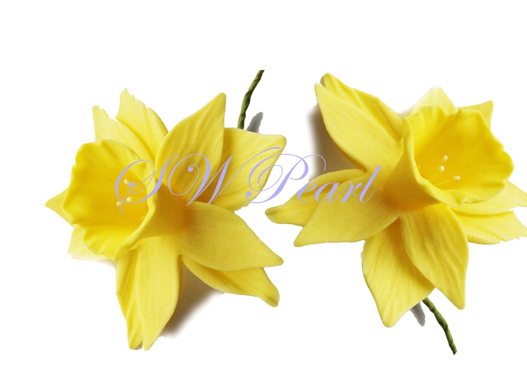 Daffodil Sugar Flowers Edible Wedding Birthday Anniversary Cake Cupcake ...