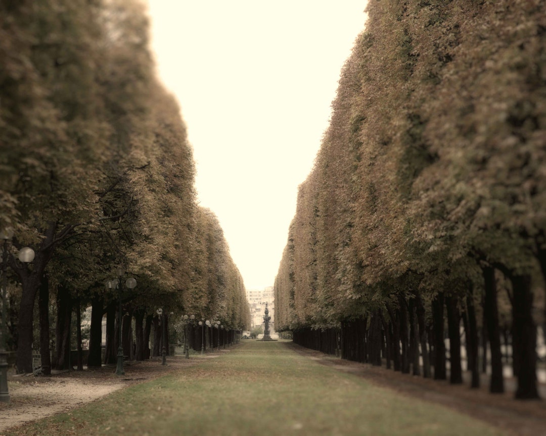 Park With Trees in Paris Photography, Parisian Lane Print, Wall Art ...