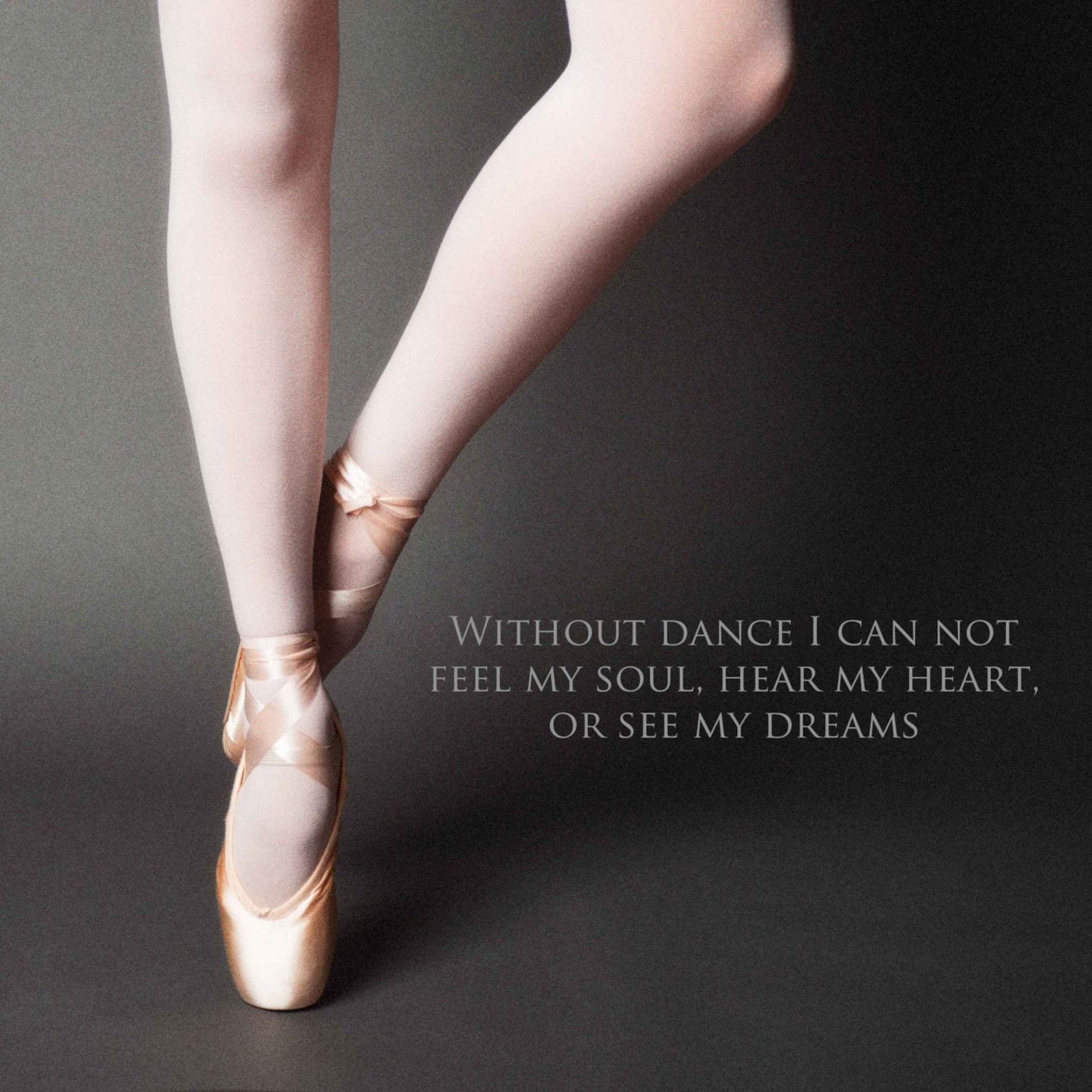 Dance, Ballet, Pointe, Pink and Grey, Quote - Without Dance - Etsy