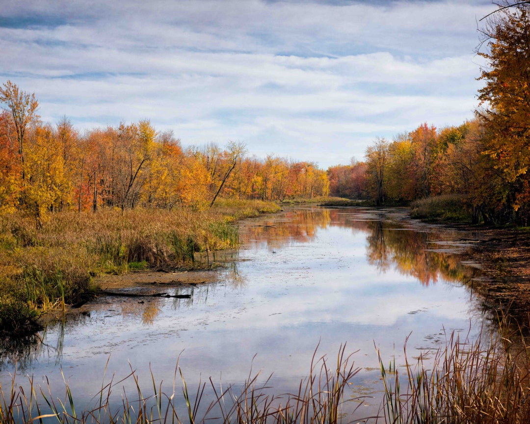 River, Autumn, Fall, Color, Trees, Reflection, Clouds, Pastel, Water ...