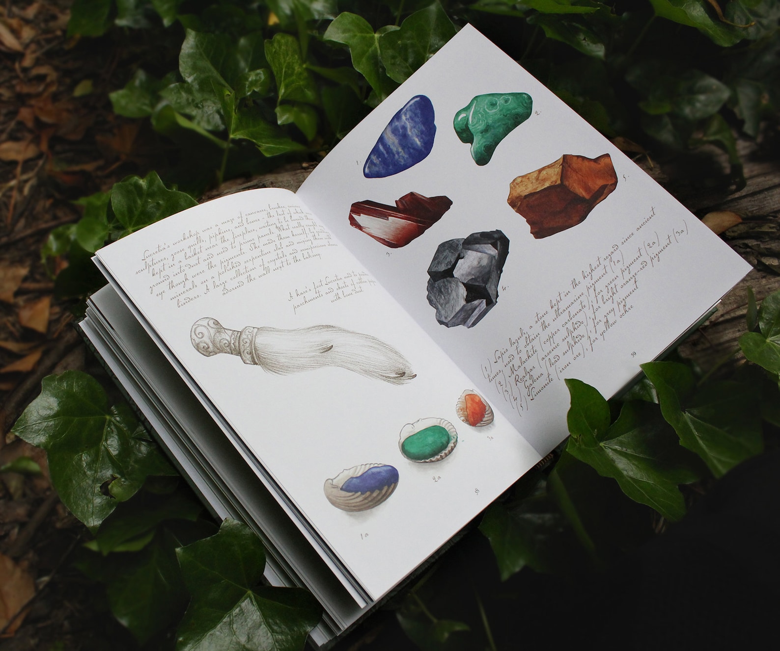 A Compendium of Witches Art Book | Etsy UK