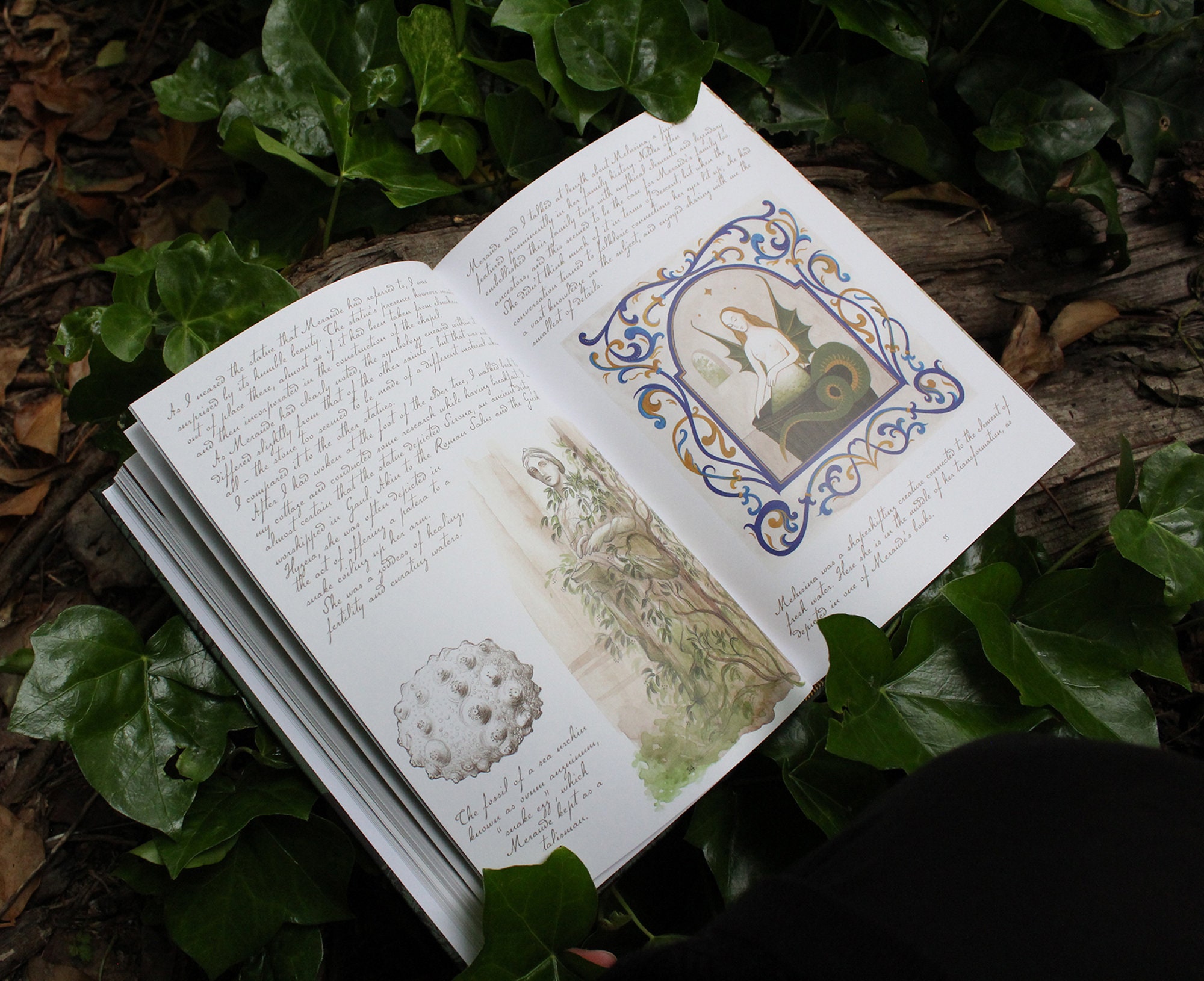 A Compendium of Witches Art Book | Etsy UK