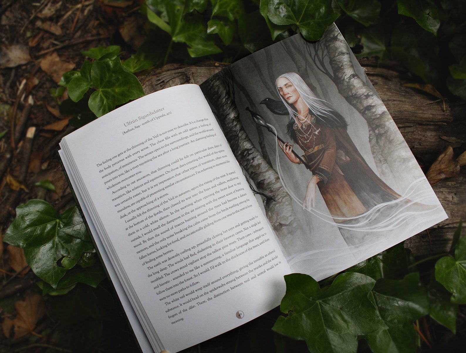 A Compendium of Witches Art Book | Etsy UK