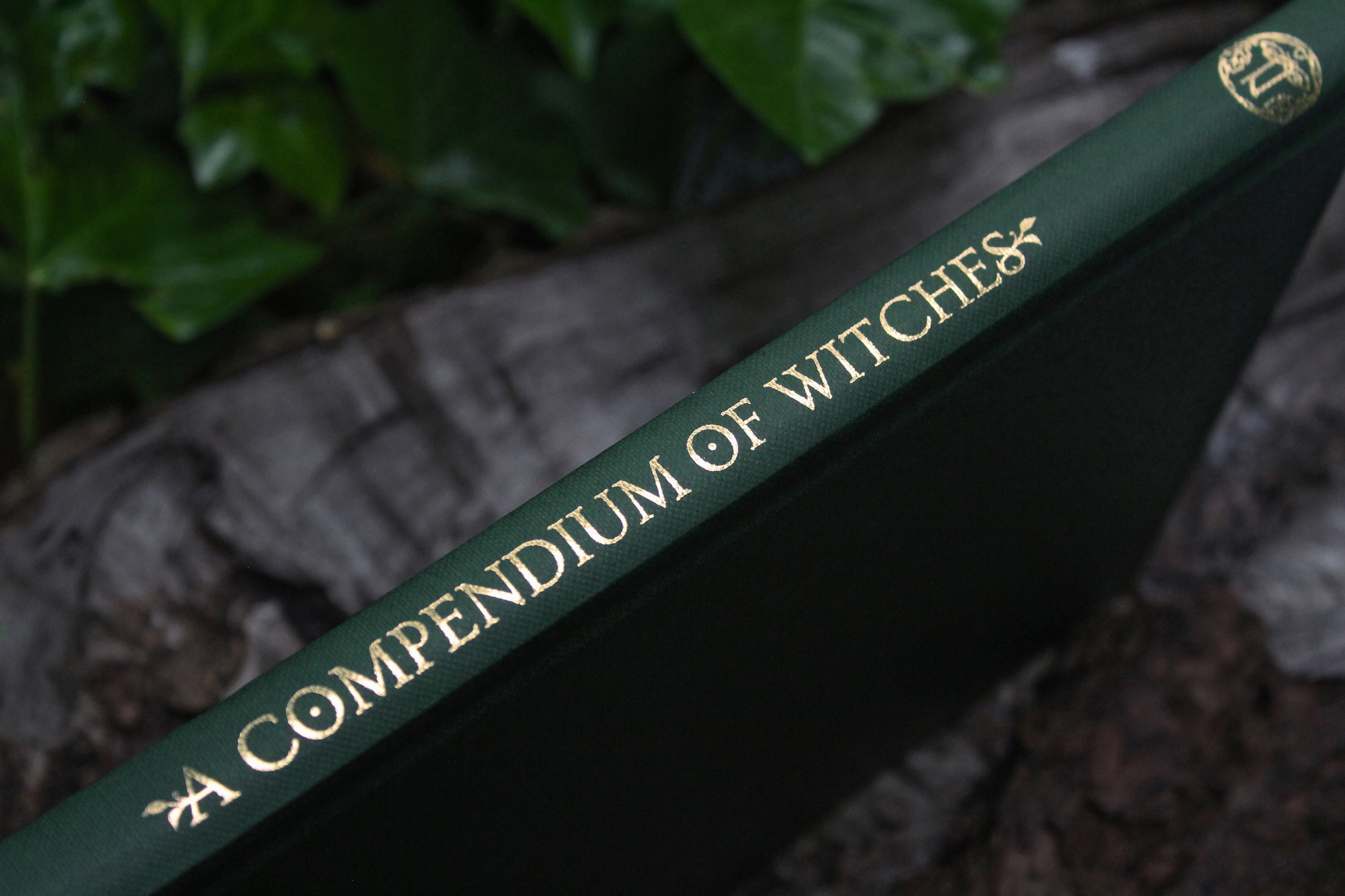 A Compendium of Witches Art Book | Etsy UK