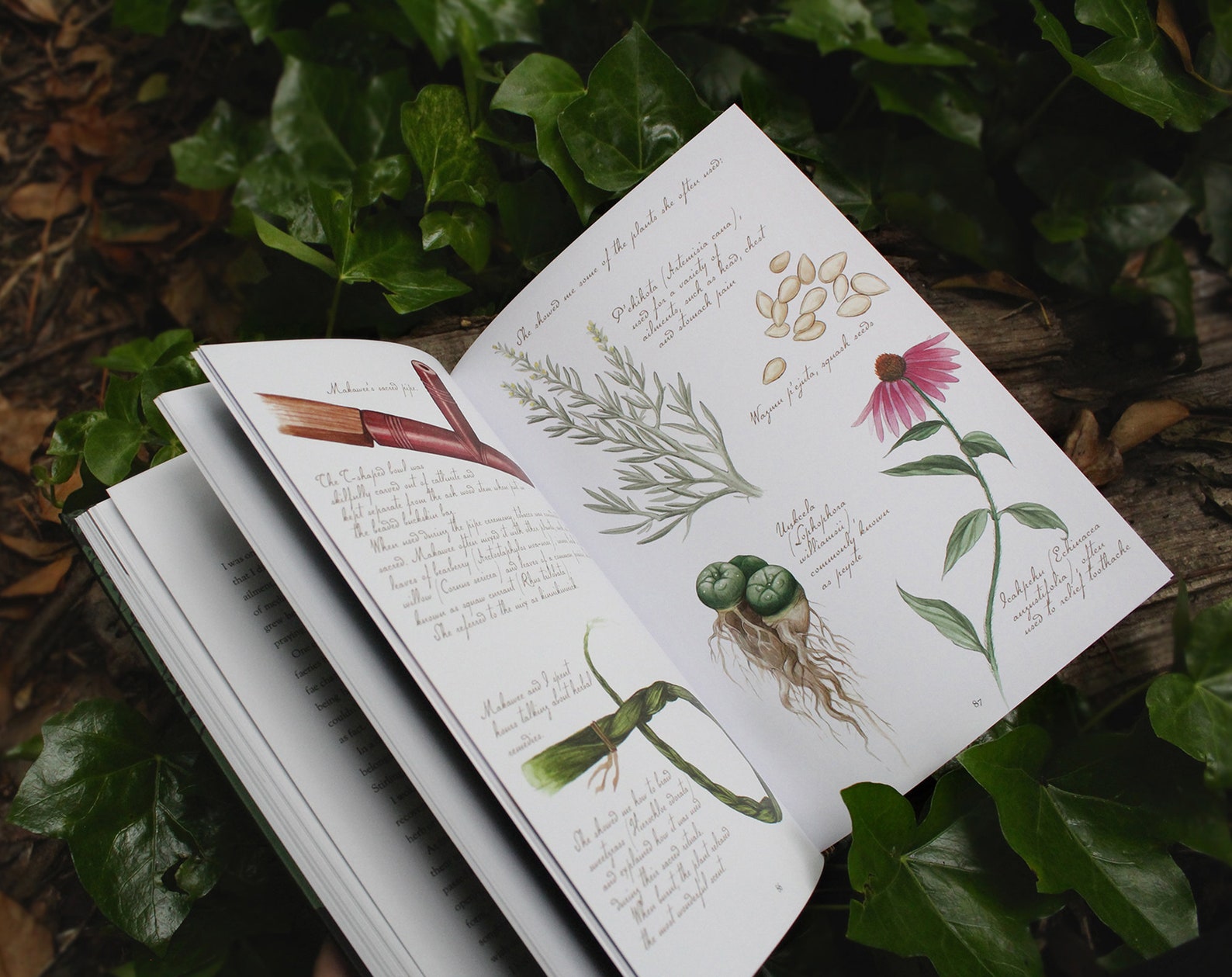 A Compendium of Witches Art Book | Etsy UK