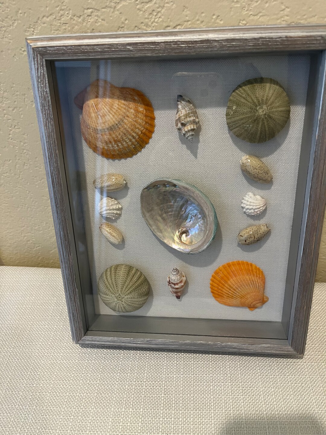 Shell Wall Art Shadowbox New Silver Frame Mosaic - Etsy