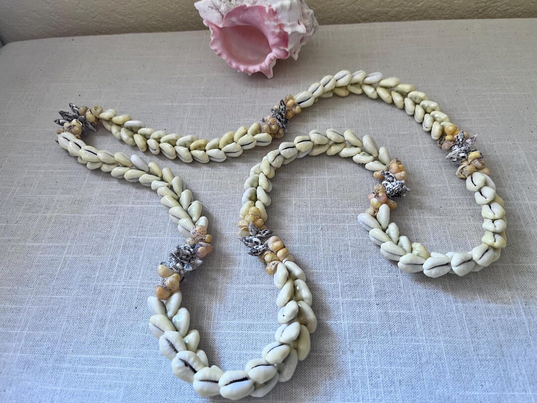 Large Cowrie Shell Lei Vintage Pacific Island - Etsy