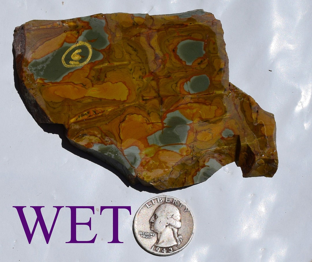 Oregon Wild Horse Picture Jasper Slab. #6 of 7 - Etsy