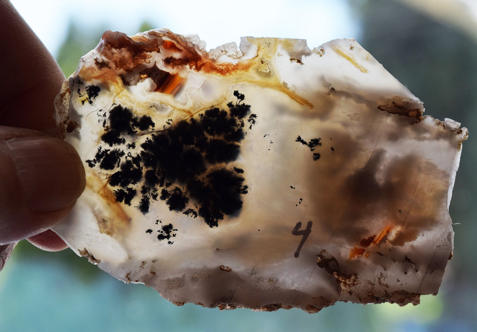Eagle Rock (oregon) Plume Agate - Slab #4 - Etsy