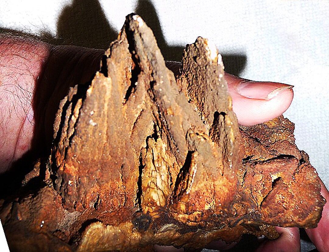 Cabinet Sized Barite Mineral Specimen – a Classic From the Blackwell ...