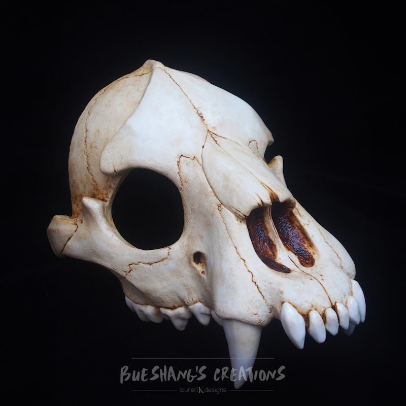 Bear Skull - Etsy
