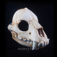 Bear Skull - Etsy