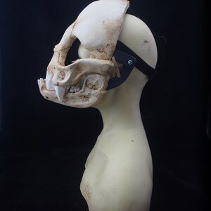 Vampire Bat Skull Mask - Full - Etsy