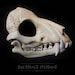 Wolf Skull Mask Full Bone Painted - Etsy UK