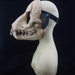Wolf Skull Mask Full Bone Painted - Etsy UK
