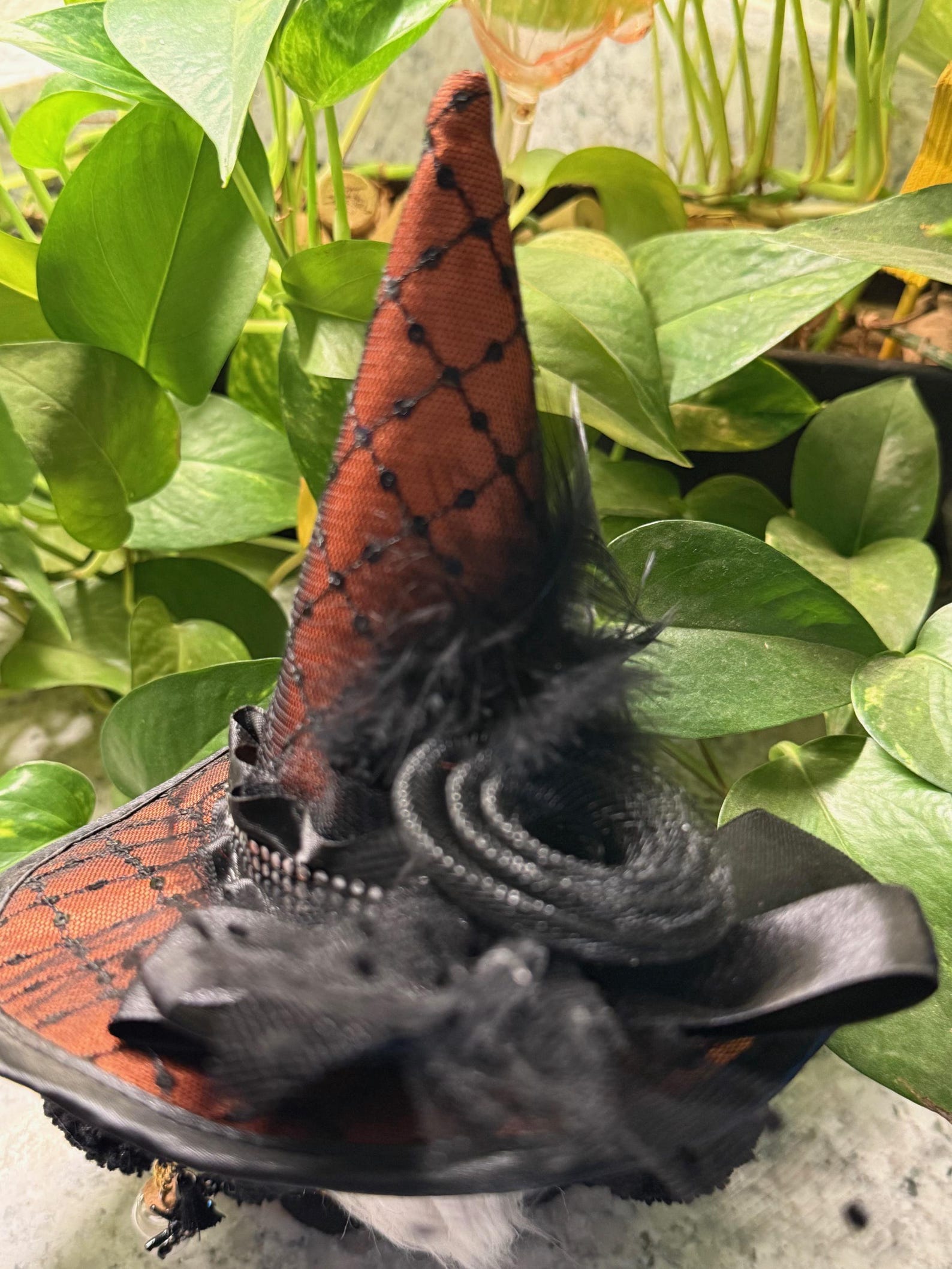 Halloween Gnome: Spider Keeper Phyllis - Orange & Black Decor - Etsy