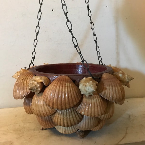 Terracotta Urn - Etsy