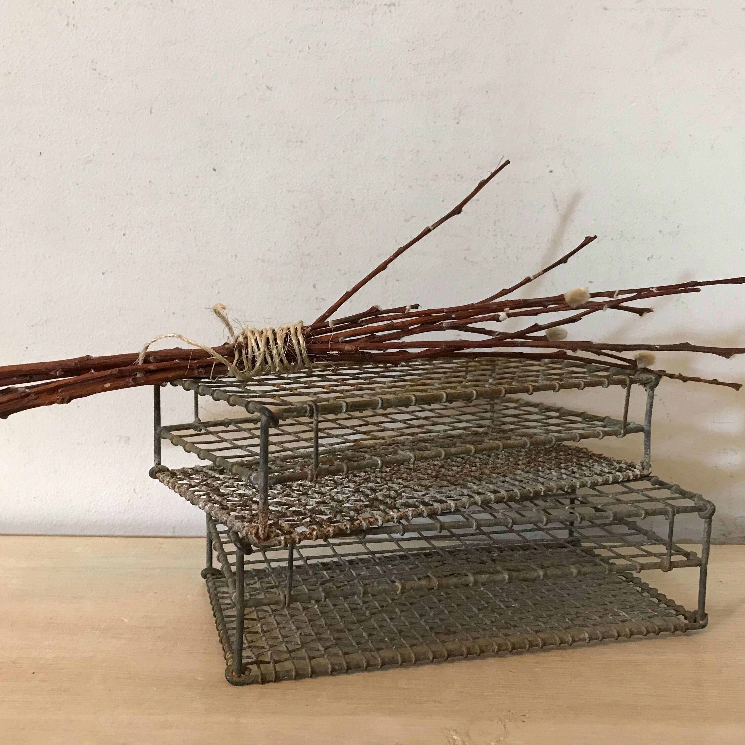 Antique Test Tube Rack Lab Rack Metal Scientific Wedding Garden Vase ...