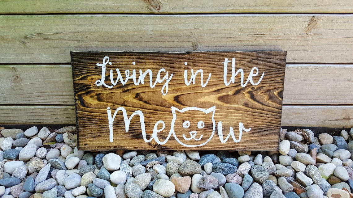 Living in the Meow Sign Wooden Signs Cat Signs Meow Sign - Etsy