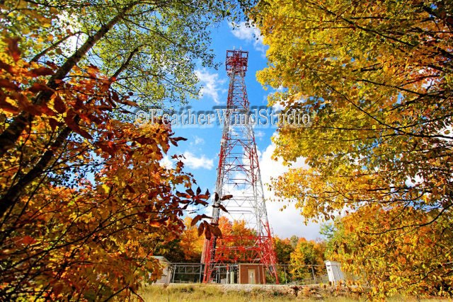 Cell Tower Photo Landscape Photography Fall Trees | Etsy