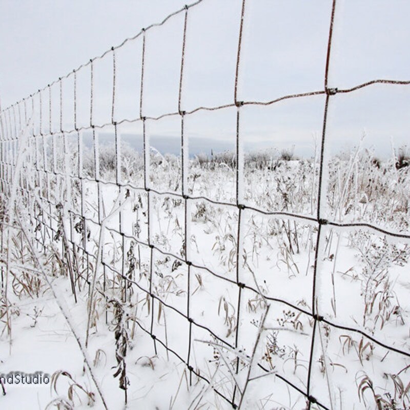 Snow Field Fence - Etsy