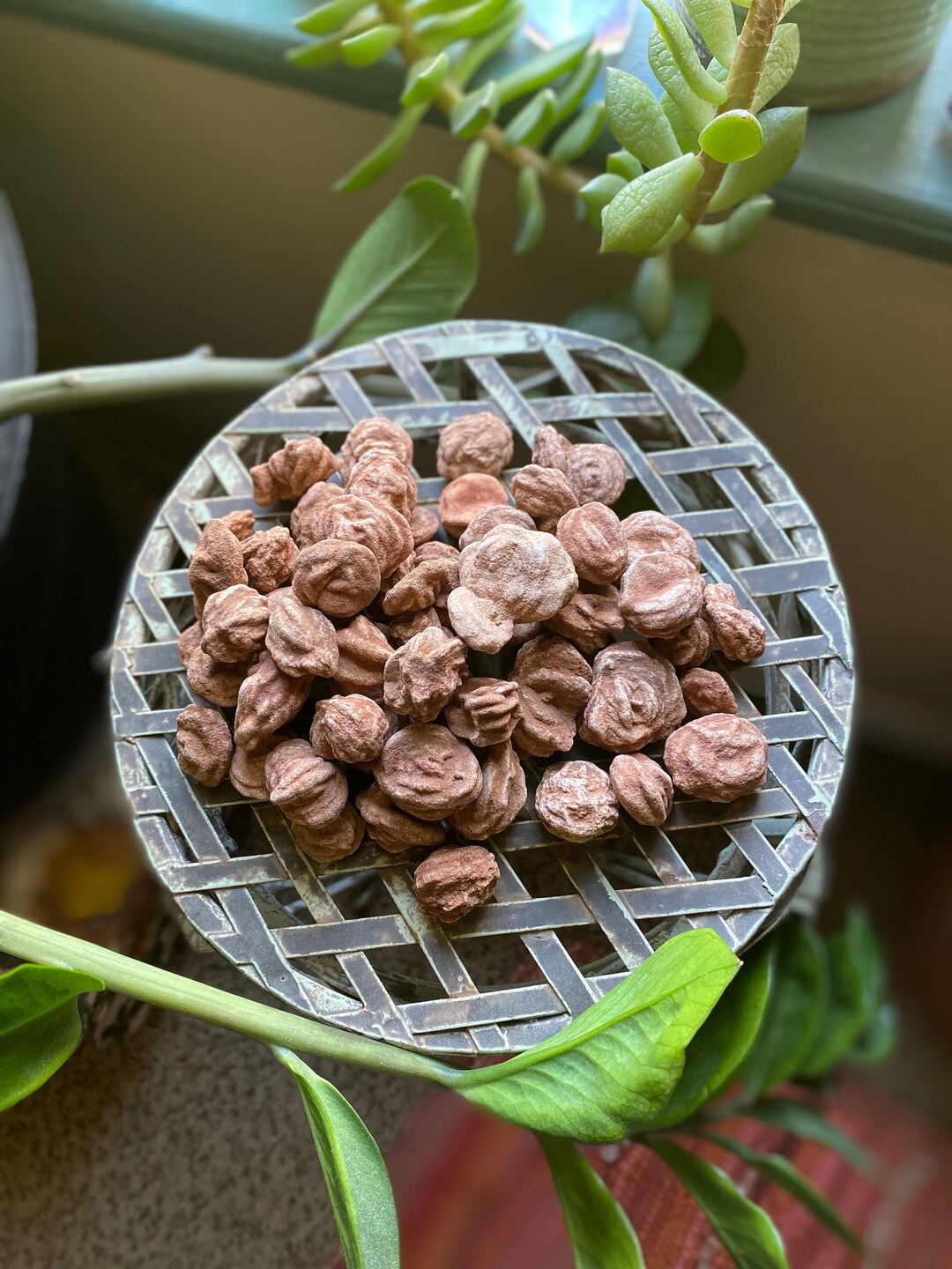 Small Sized Barite Rose Rocks - Etsy
