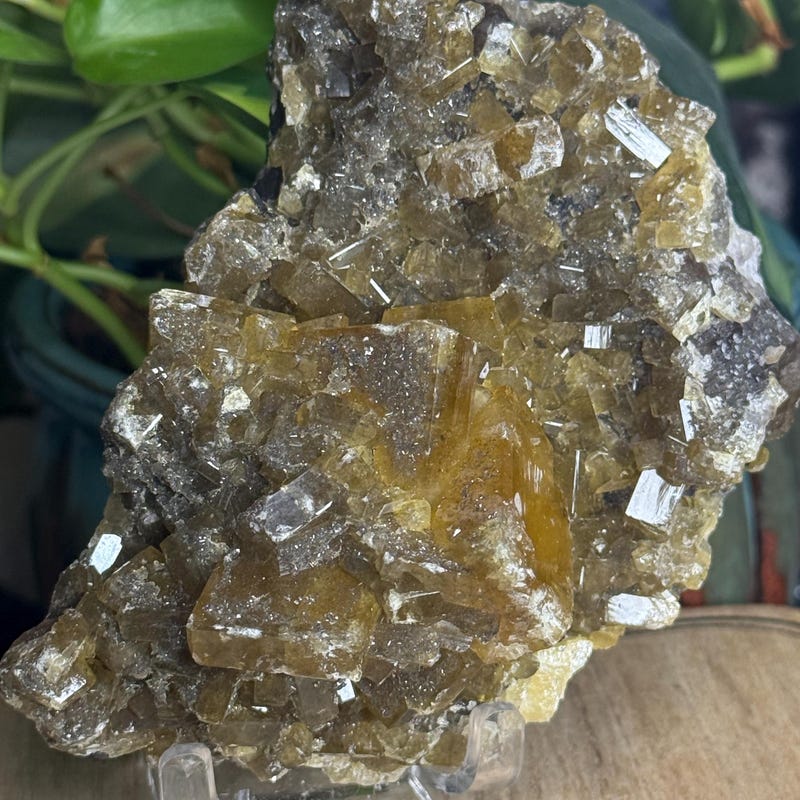 Golden Barite Fluorite - Etsy