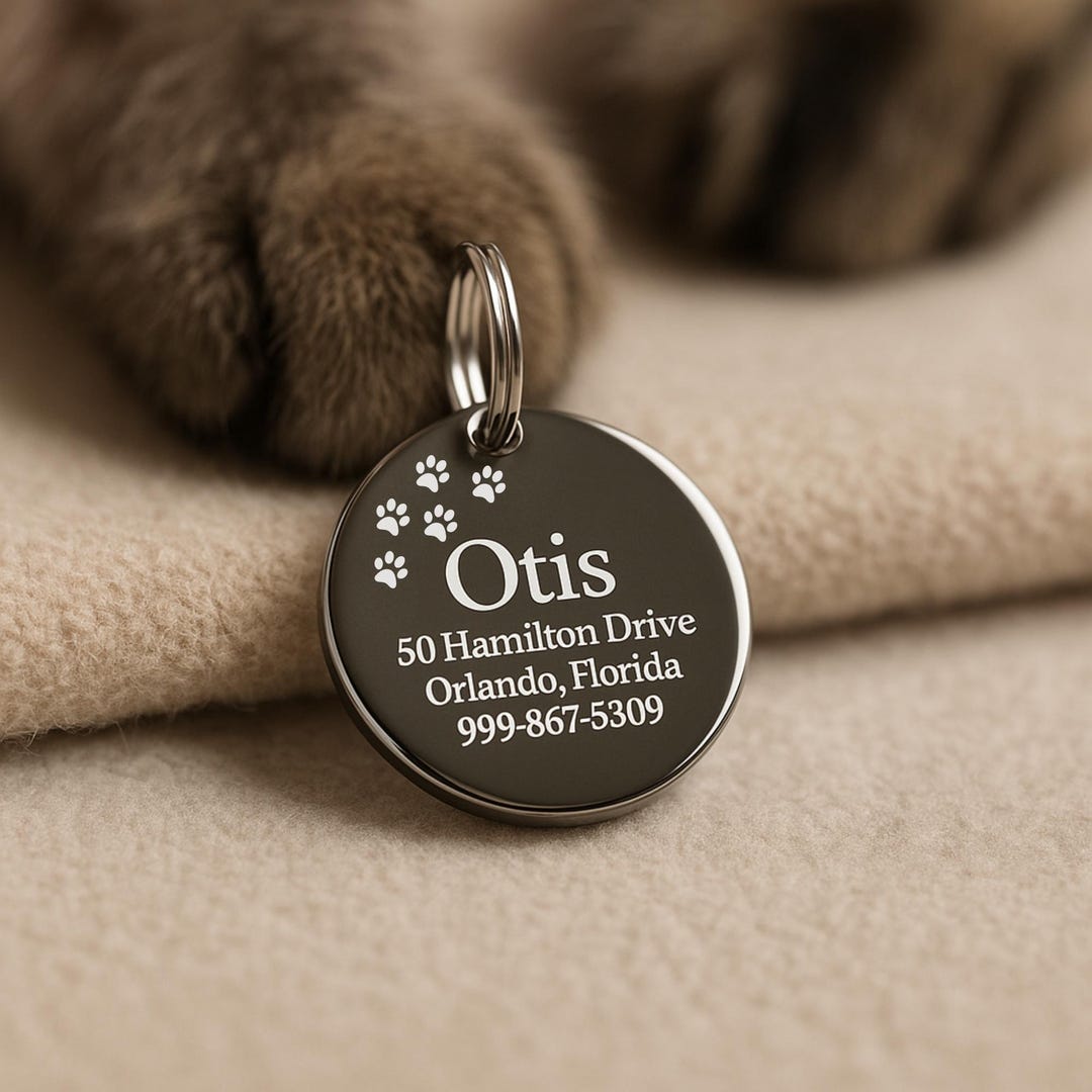 Custom Cat ID Tag – Personalized Stainless Steel Engraved Kitty Collar ...