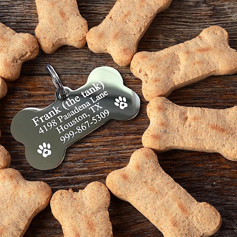 Dog Tags for Dogs Personalized - Etsy