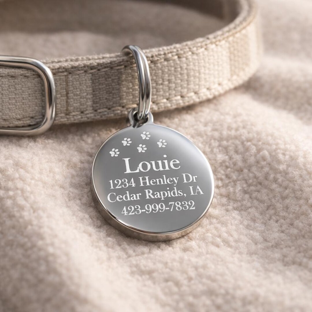 Personalized Cat ID Tag With Paw Prints, Engraved Stainless Steel Cat ...