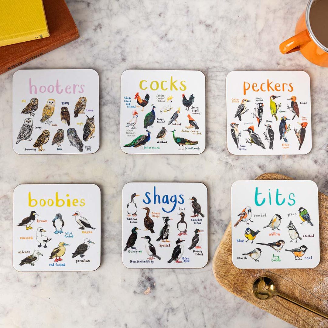 Set of 6 Bird Pun Coasters - Etsy