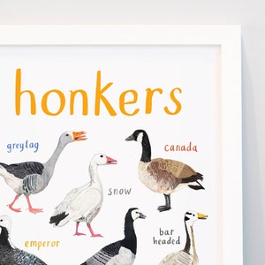 Honkers Art Print A4 - Etsy UK